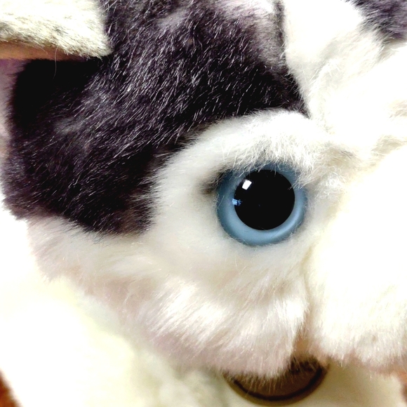 Aurora | Toys | Siberian Husky Plush Puppy Dog Stuffed Animal Blue Eyes ...